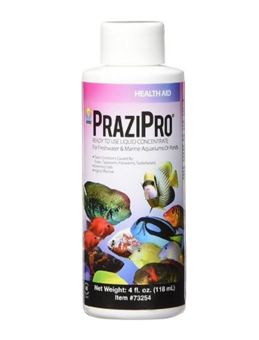 PraziPro Fish Dewormer| Reef Gurus
